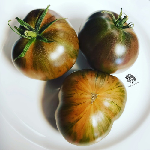 Gun Metal Gray Tomato Seeds | Head Tomatoes Seeds