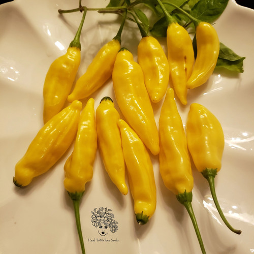 Lemon Drop Pepper Seeds | Head Tomatoes Seeds