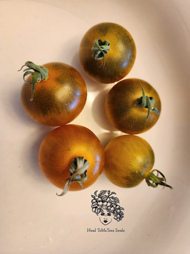 Orange Muscat Cherry Tomato Seeds | Head Tomatoes Seeds