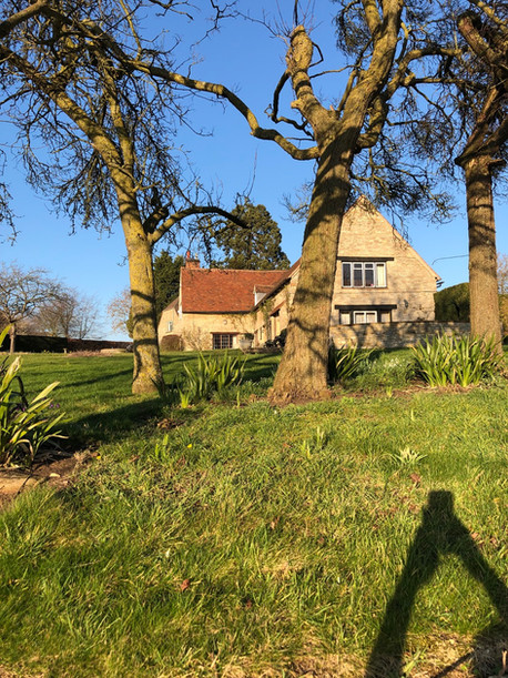Gallery | Chfarm2