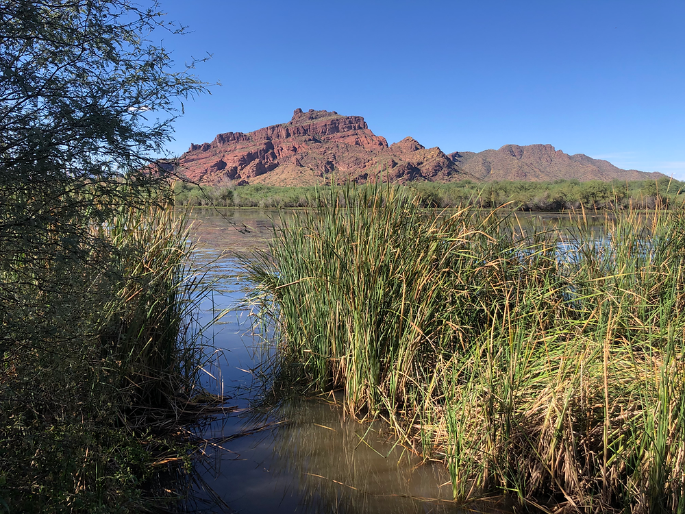 Exploring Arizona’s Lower Salt River: Fall and Winter Paddling Guide
