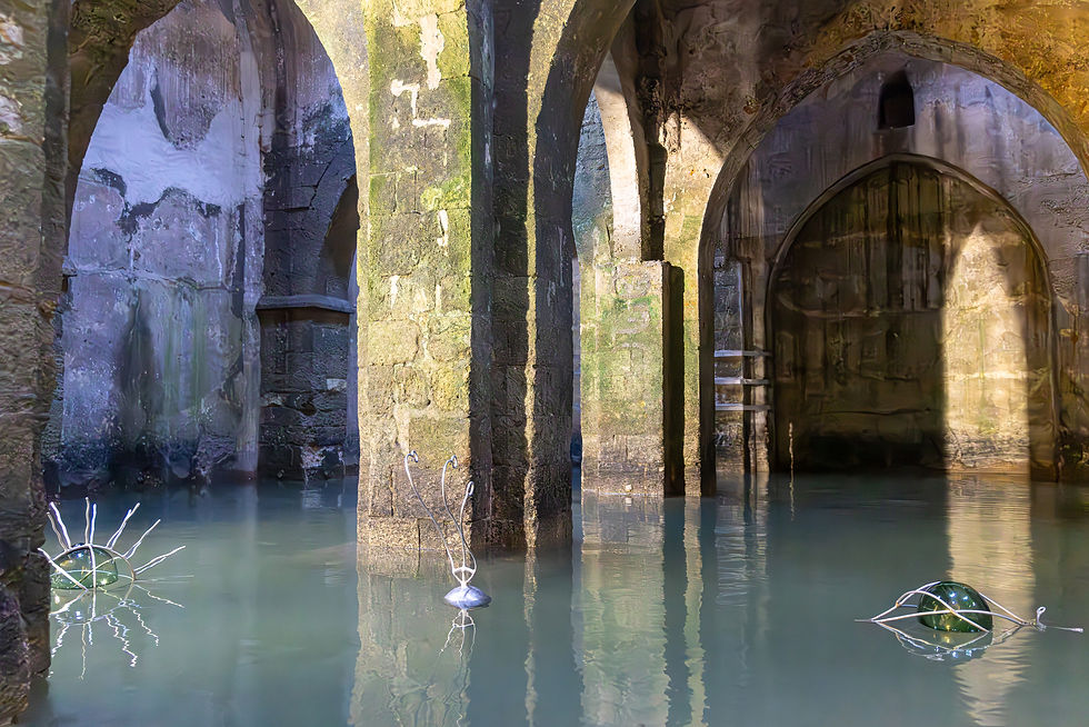 Unveiling the RamleAnthropocene: The Artistic Vision of Daniel Rothbart