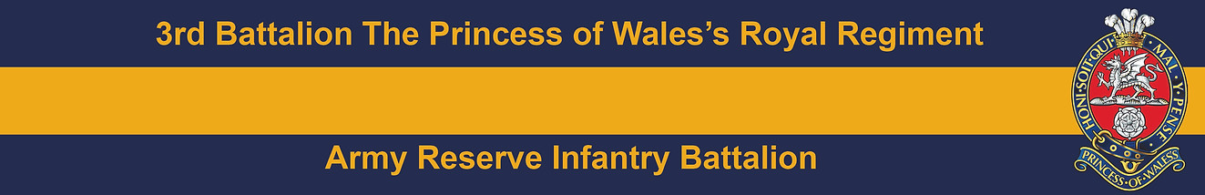 Join Army Reserves | 3 Pwrr