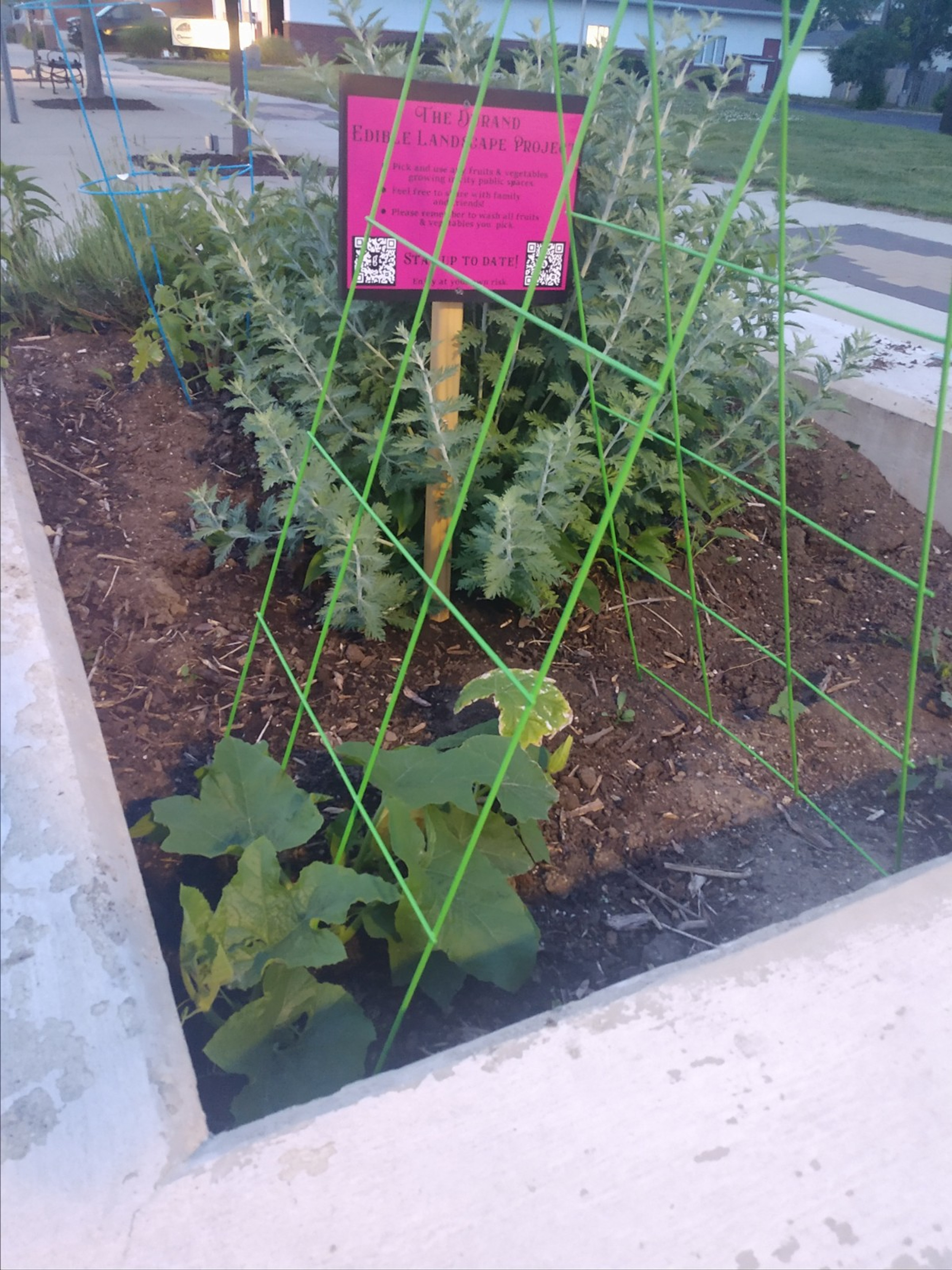 Edible Landscape Project | Greening Your Life