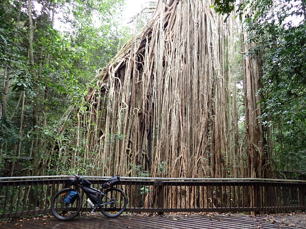 The Great Northern Cycle Trail