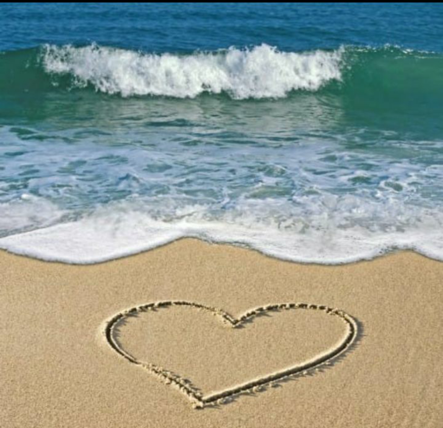 Join "Somatic Healing" on the Spaces by Wix App