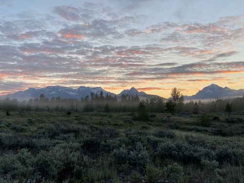 Healing Osteoporosis | William Ferril, MD