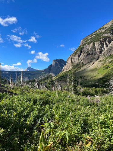 Heart Disease | William Ferril, MD