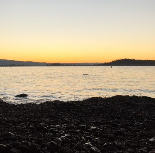 Sagging Chin | William Ferril, MD