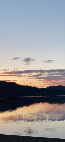 How to Regrow A Joint | William Ferril, MD