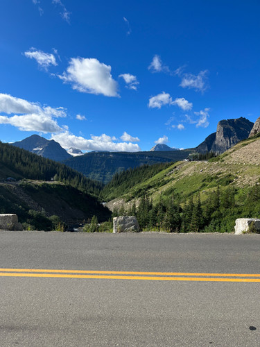 Fat Lies 1, 2, 3 | William Ferril, MD