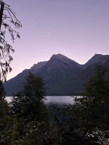 Autoimmune Disease | William Ferril, MD