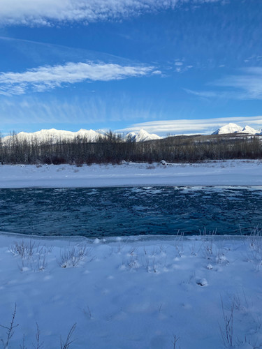 Metabolic Syndrome | William Ferril, MD