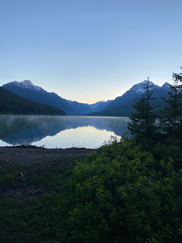 Insulin Resistance | William Ferril, MD