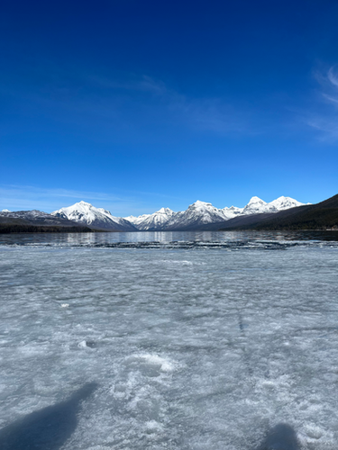 Why do opposite diets work? | William Ferril, MD