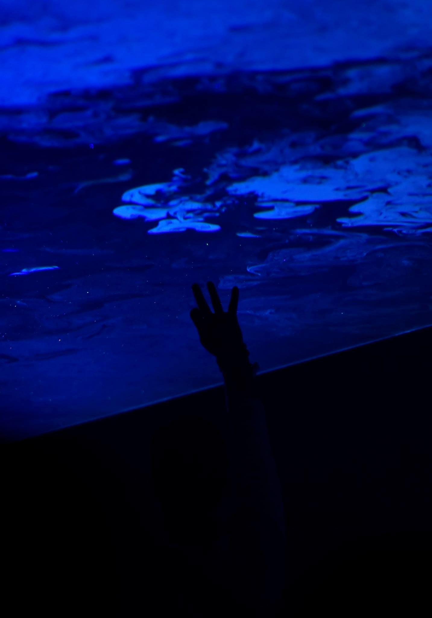 GALLERY | Coldplayed - Coldplay tribute show