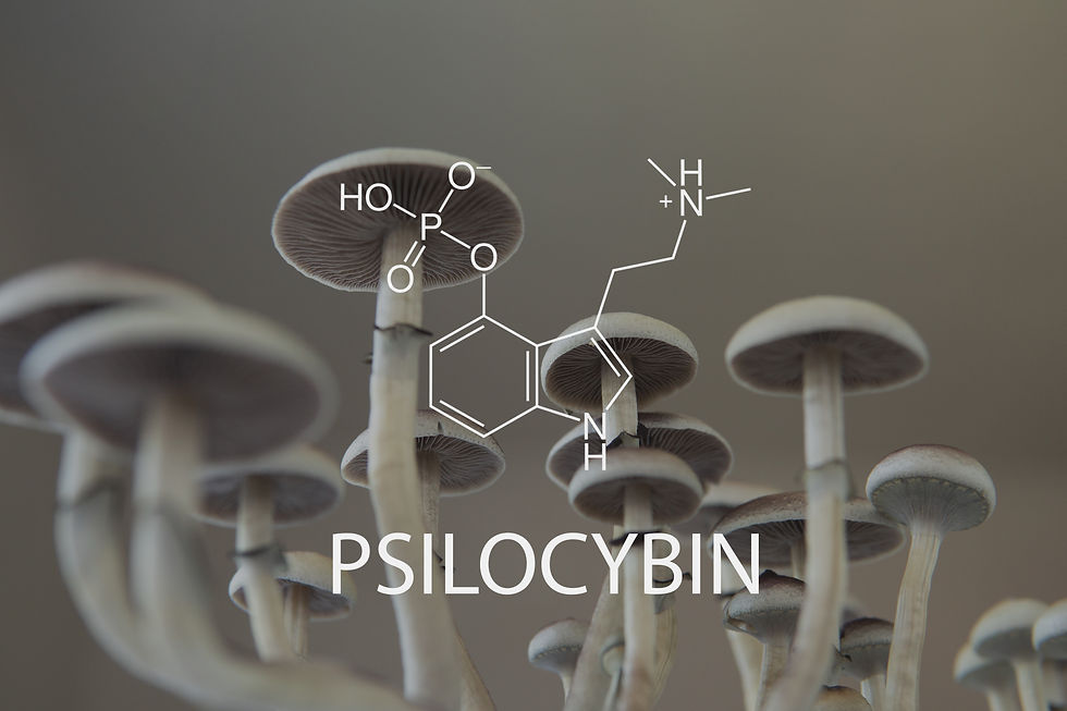 Psilocybin Mushroom Documentaries | Mush Love CO LLC