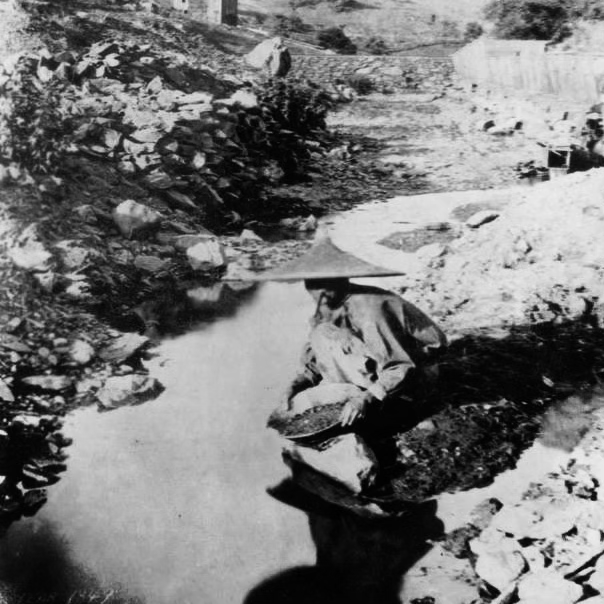 California Gold Rush