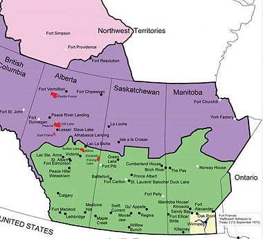 Book | Desert Métis