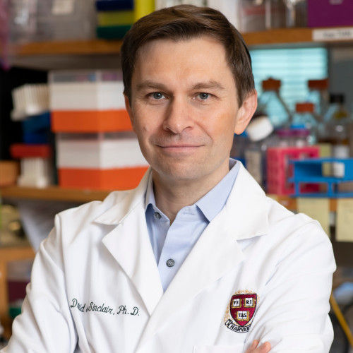 David Sinclair | Life Eterna