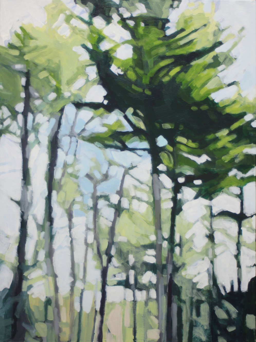 Liz Hoag Fine Art|Portland, ME