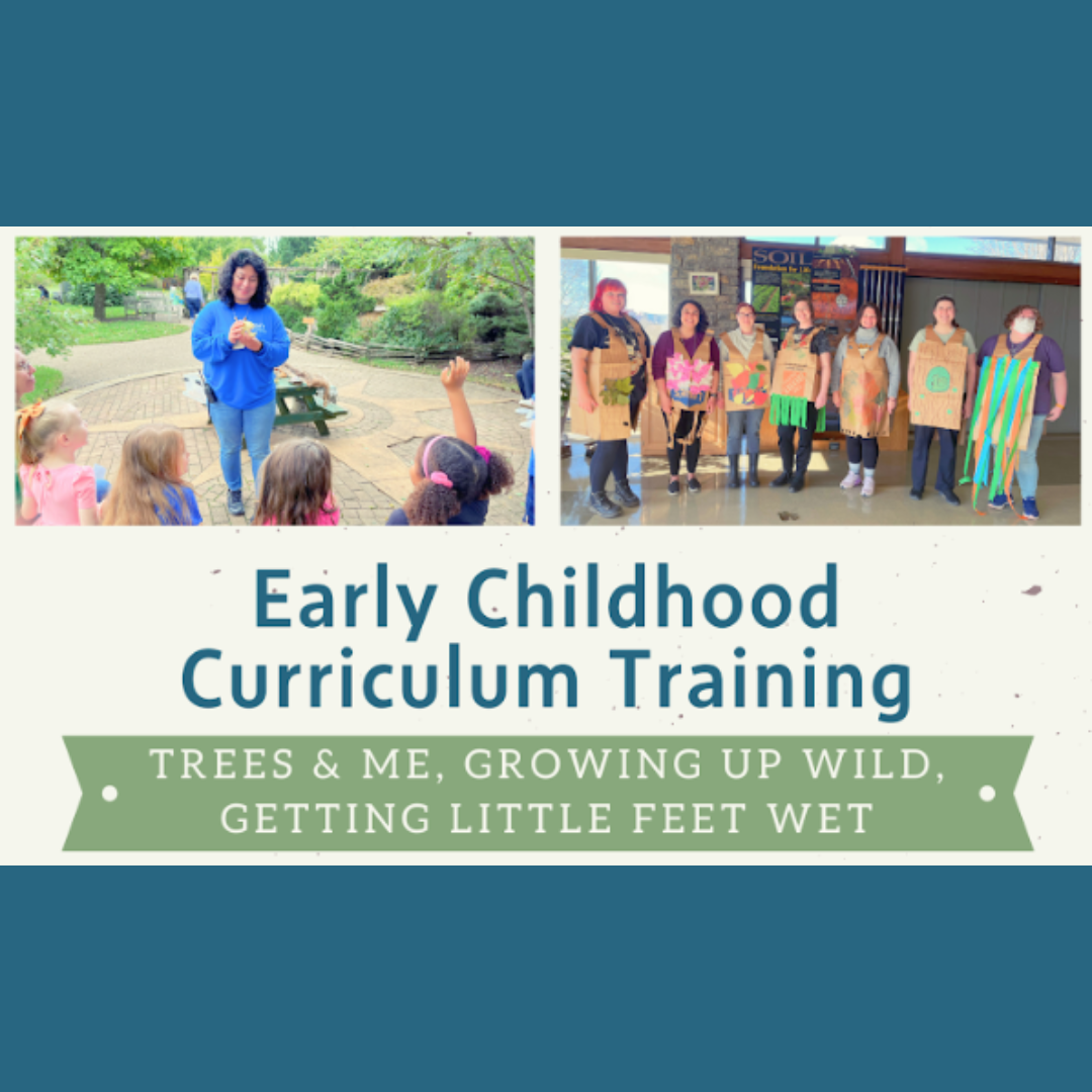Early Childhood Curriculum Training | KAEE