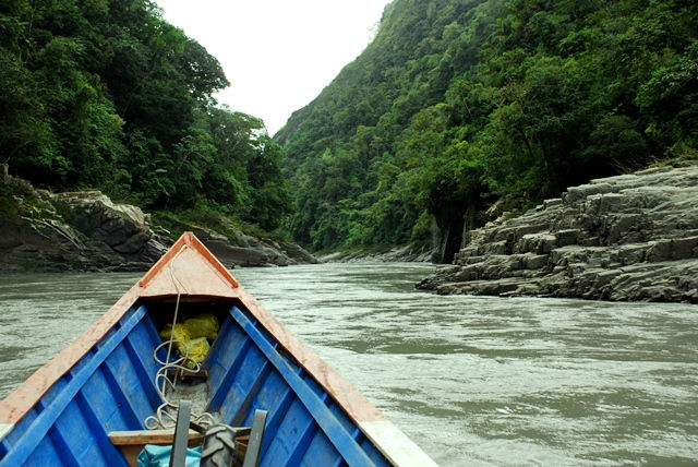 Pongo de Mainique @Peru