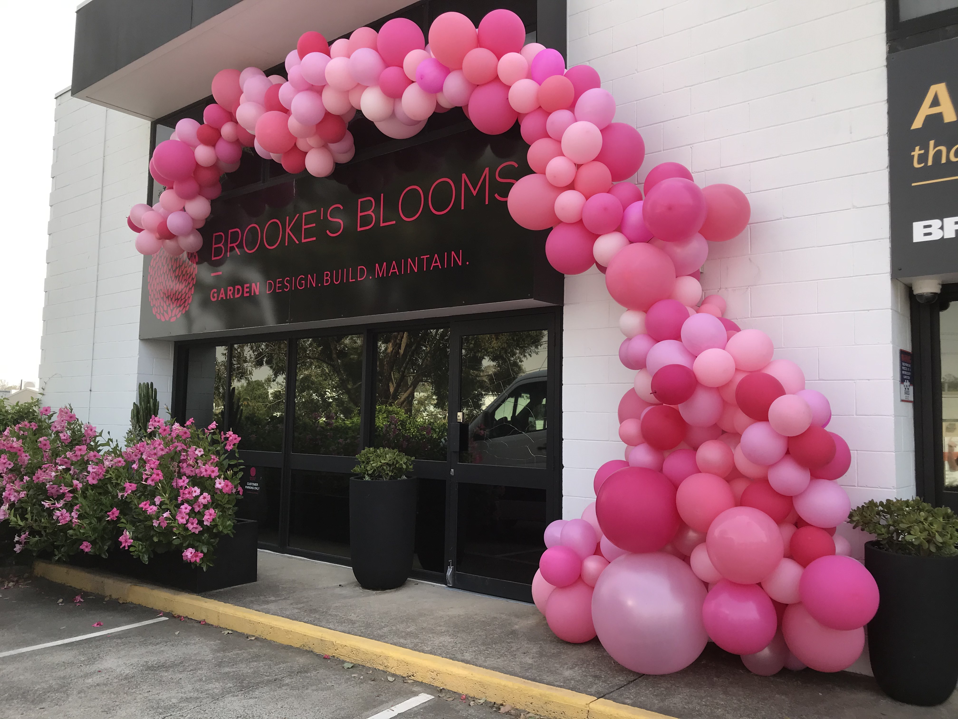 Home | Balloons Galore