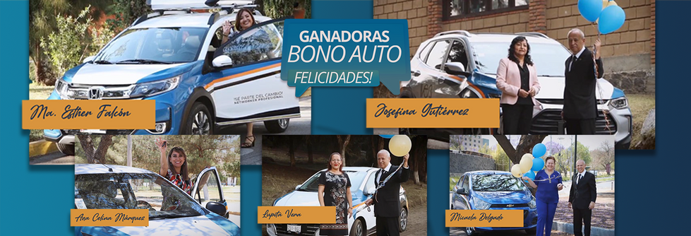 INICIO | Ives Evolution