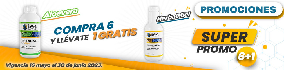 INICIO | Ives Evolution