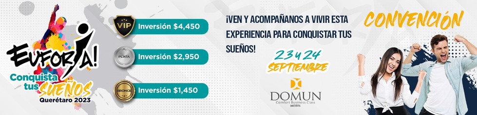 INICIO | Ives Evolution