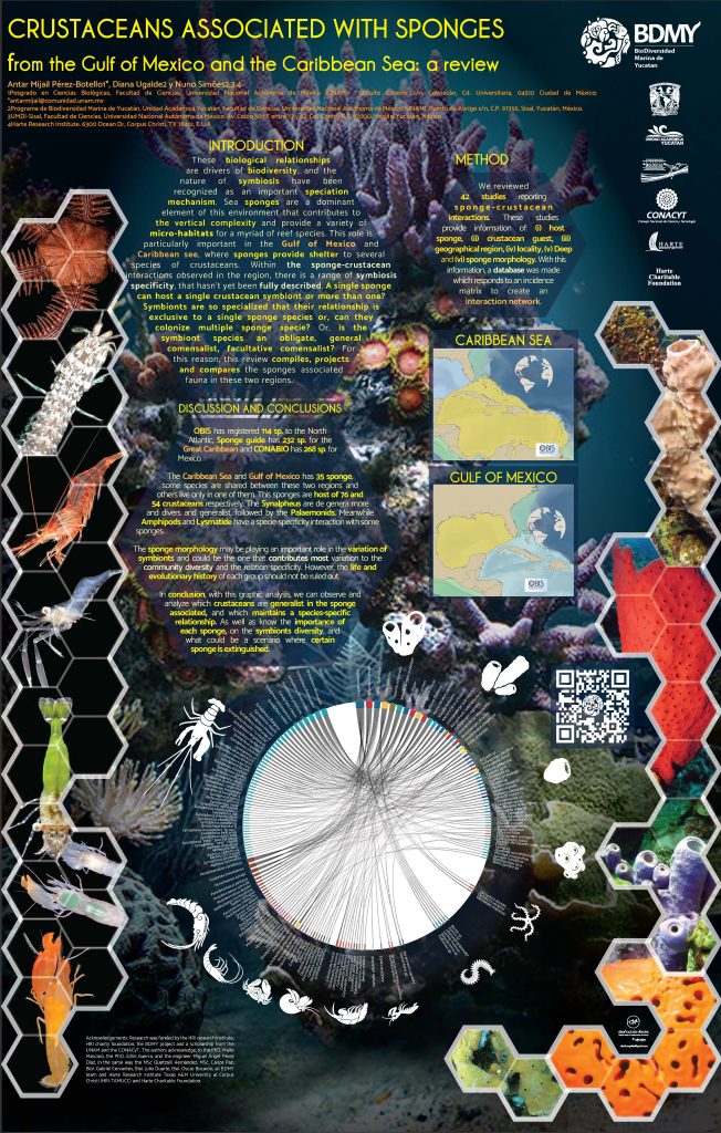 Our work | Marine Species Interactions