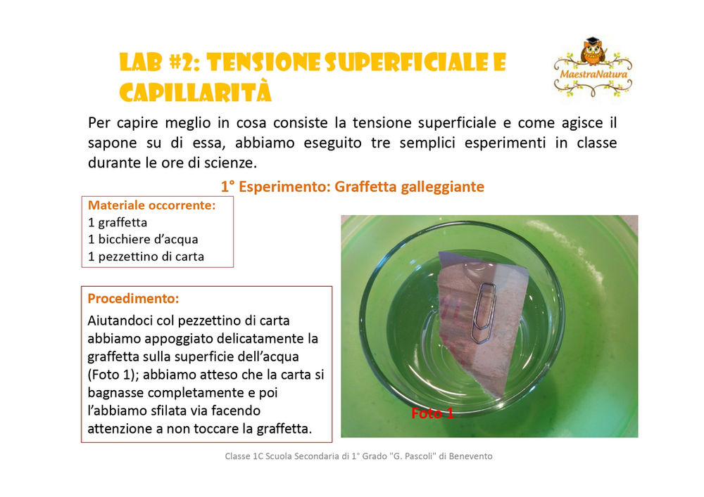 LA TENSIONE SUPERFICIALE: esperimenti