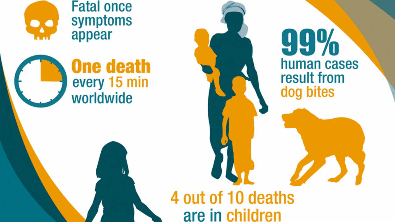Rabies cases plateauing, DOH supports budget pitch for dog vaccination
