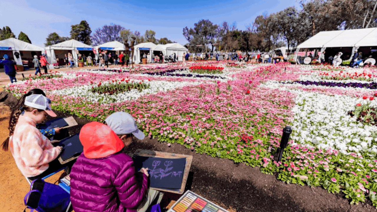 37th edition of Floriade flower festival launches in Canberra