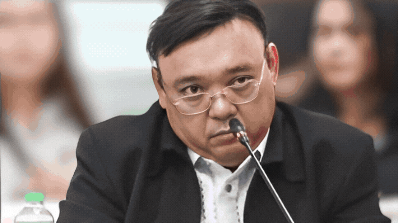 House taps PNP to capture Harry Roque