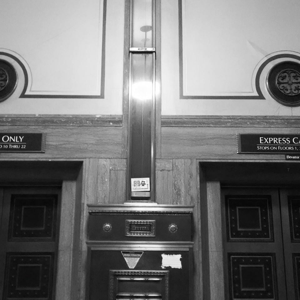 PHOTO GALLERY | -tucker