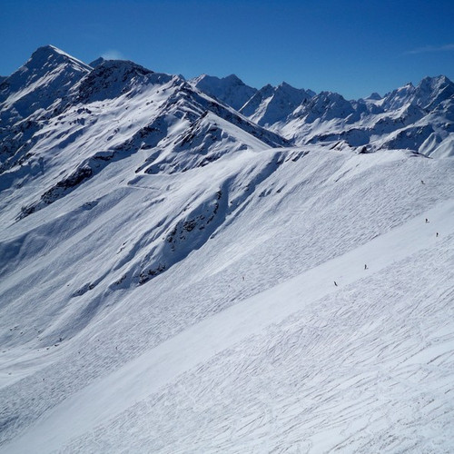 CDC Performance Ski Camps