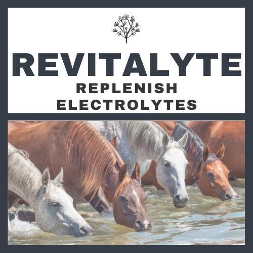 REVITALYTE Electrolytes | Natures Farmacy