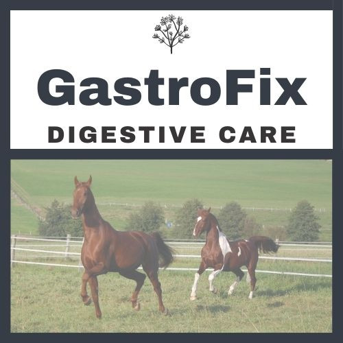 GastroFix TM | Natures Farmacy