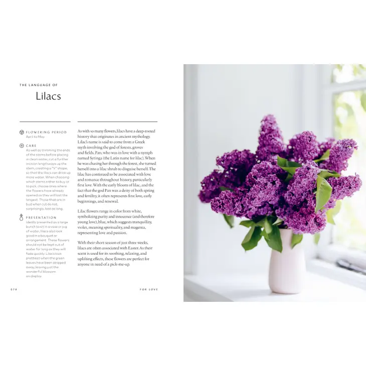 Escape to Cottagecore Hardcover Book | White Trail Club