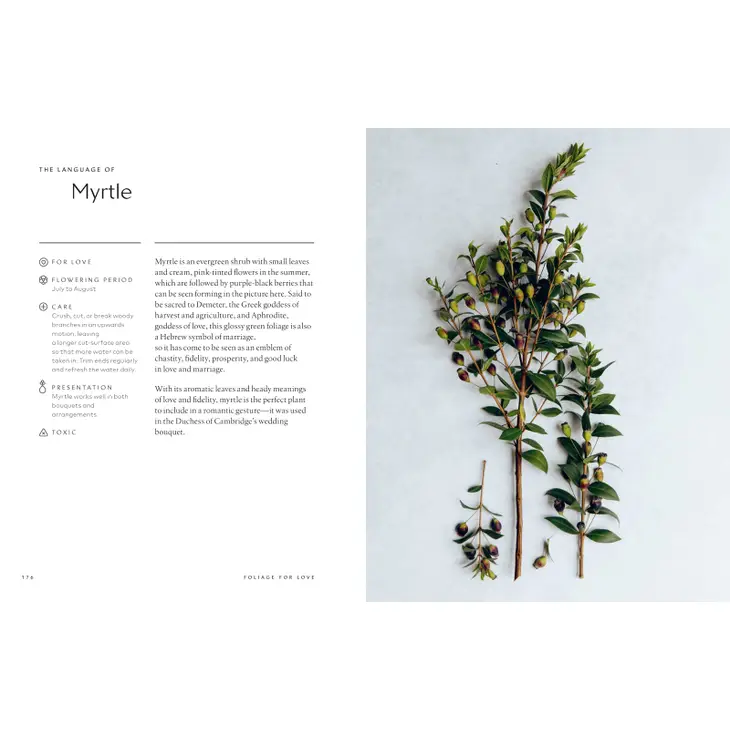 Escape to Cottagecore Hardcover Book | White Trail Club