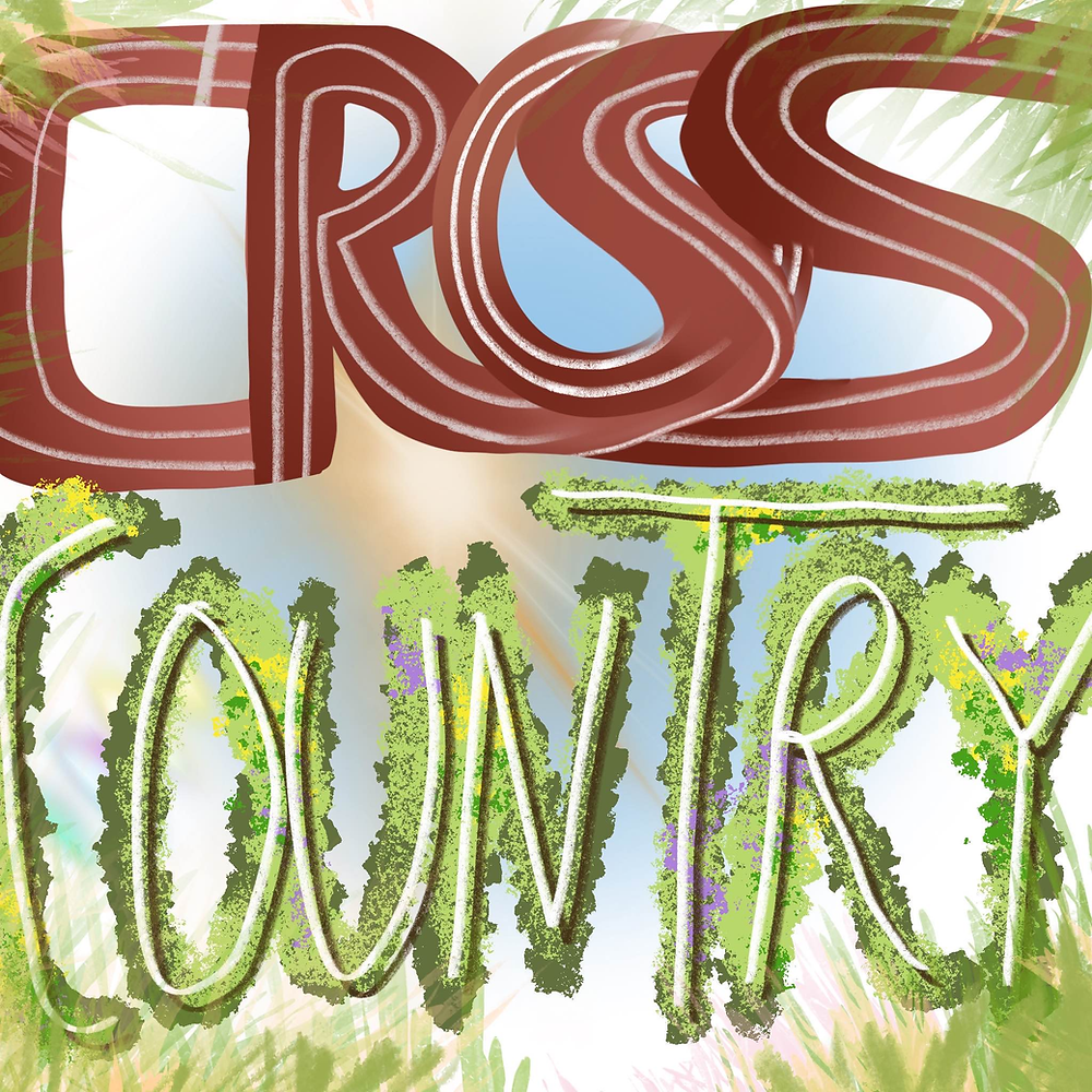 Woodstock Cross Country Article