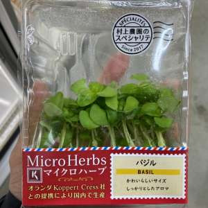 Basil (Osaka Murakami Farm) | FAJ Recommend List