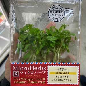 Phakchi (Osaka Murakami Farm) | FAJ Recommend List