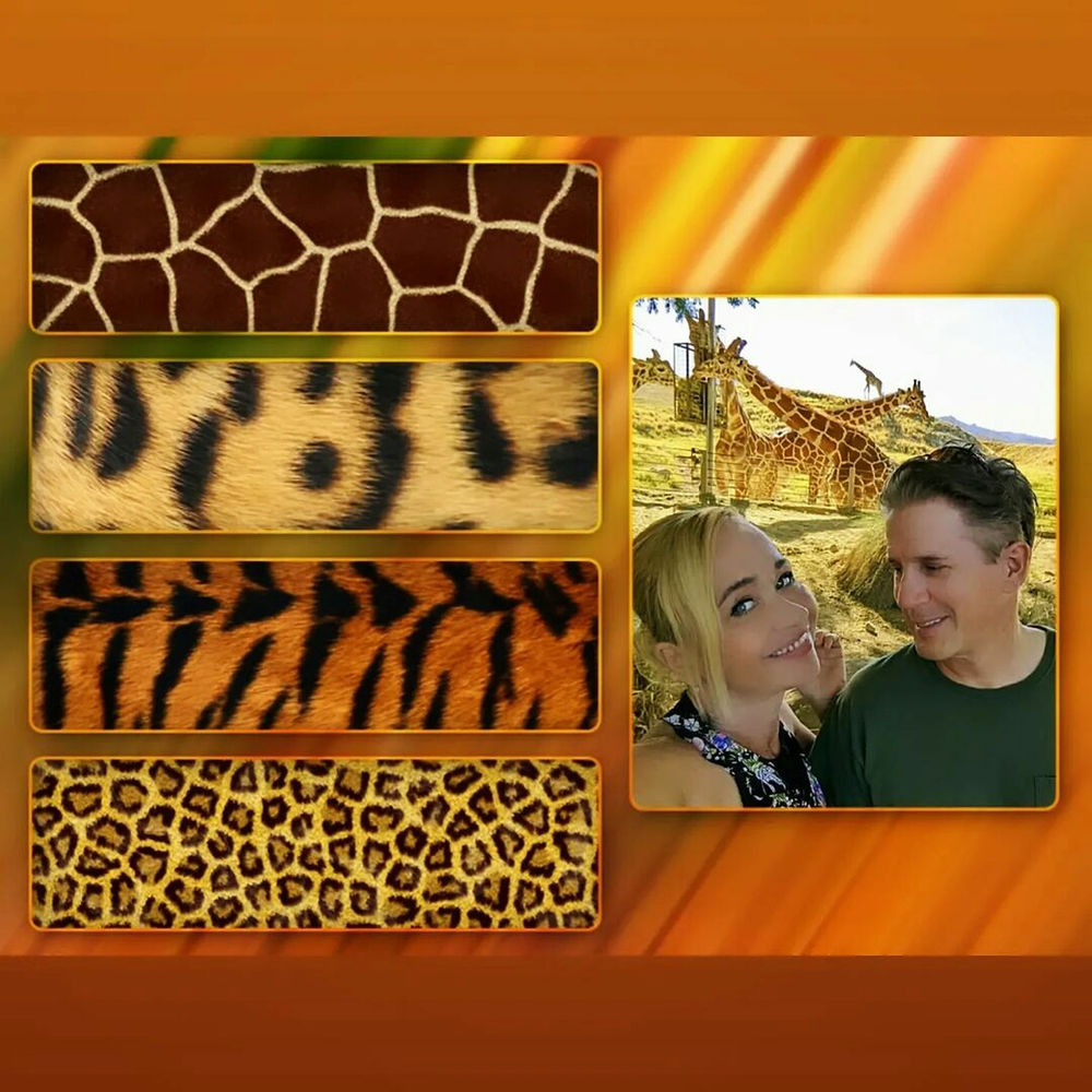 🦓🐅🦚🦙🐆🦘🦛 🦒 What is your favorite animal at the zoo?