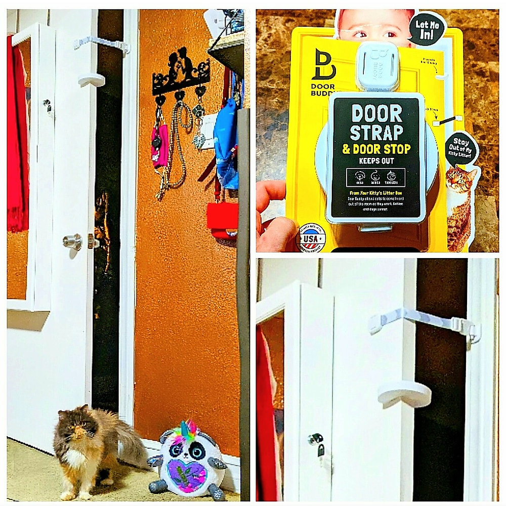 🐱 We've been using the door buddy for about a year and a half.