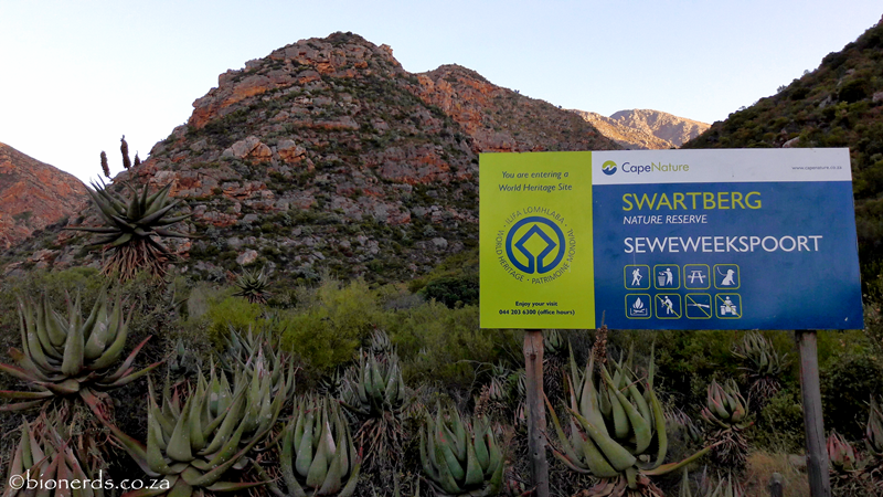 Sightseeing in the Seweweeks...