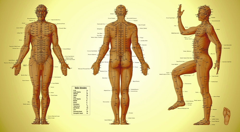 Shi Er Jing Mai: De 12 hoofdmeridianen (Qi rivieren)