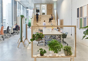 OxygenX | Office Analysis | Oxygen at Work